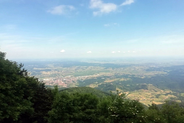 Šume u fokusu: Javna tribina u Klanjcu otvara ključna...