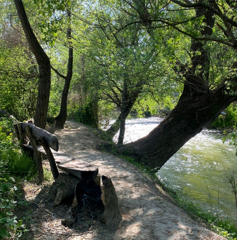Općina Mali Bukovec ima dva kandidata za Stablo godine...